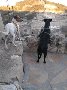 Casa rural Butaka, Alcalá del Júcar (updated prices 2025)