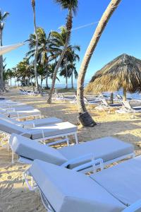 Playa Palmera Beach Resort, Punta Cana (updated prices 2024)