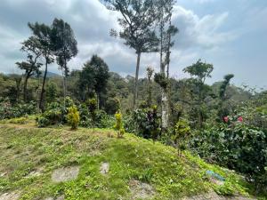 Rai’s Coorg Cave House, Madikeri – Updated 2024 Prices