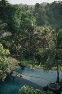 Bucu View Resort, Ubud (updated prices 2025)