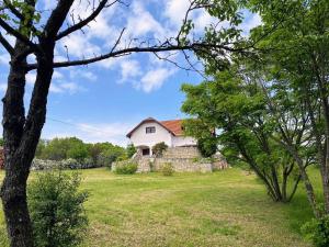 Dorono House, Balatonudvari (updated prices 2025)