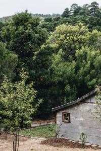 Pickers Hut - A Country Style Featured Dream Stay, Basket Range ...