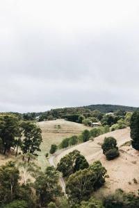 Pickers Hut - A Country Style Featured Dream Stay, Basket Range ...