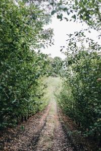 Pickers Hut - A Country Style Featured Dream Stay, Basket Range ...