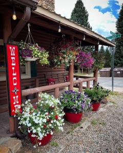 Three Bears Lodge, Red River – Updated 2024 Prices