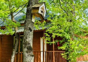 Deluxe Park Qusar Resort & Spa Hotel, Qusar (updated prices 2025)