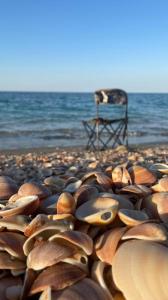 Villa Plage de Kariat Arekmane, Nador (aktualisierte Preise für 2024)