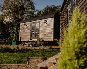 Beds of Silk, Labasheeda – Updated 2024 Prices