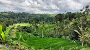 Magical Breeze Cabin, Angsri (updated prices 2025)