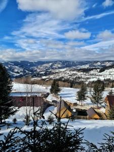 Cabana Dor de Apuseni, Cîmpeni (updated prices 2025)