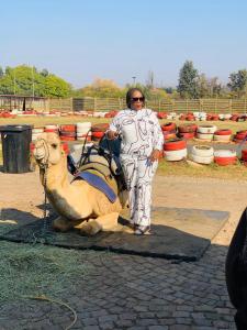 Ten Flags Theme Park, Kroondal – Updated 2024 Prices