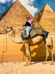 Ten Flags Theme Park, Kroondal (updated prices 2025)