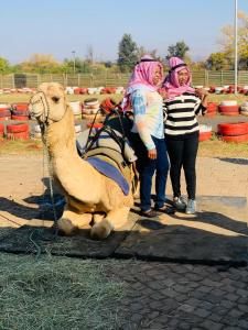 Ten Flags Theme Park, Kroondal (updated prices 2025)