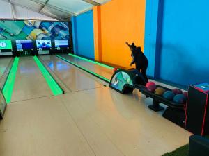 Ten Flags Theme Park, Kroondal (updated prices 2025)