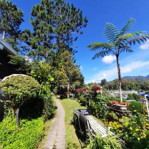 The Backyard Glamping Cameron Highlands, Tanah Rata (updated prices 2024)