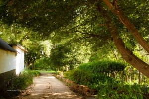 Newstead Farm - Country Cottages, Curryʼs Post (updated prices 2025)