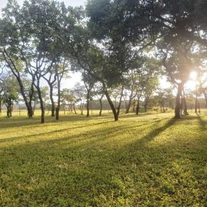 Warthog House-cozy country house, 3 Bed, Mumbwa (updated prices 2025)
