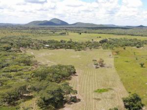 Warthog House-cozy country house, 3 Bed, Mumbwa (updated prices 2025)