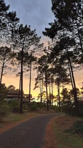 La Jenny Village Naturiste - chalet 4/6 personnes, Le Porge (tarifs ...