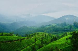 Lockhart Bungalow Munnar - a CGH Earth SAHA Experience, Munnar (updated ...