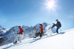 Appartementhaus Dachsteinblick mit Indoorpool und Sauna, Bad Goisern ...