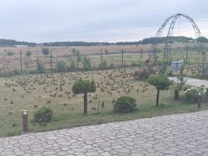 3 ruoniai, Palanga (updated prices 2025)