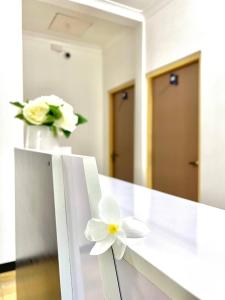 Balma Beach Inn, Faafu (updated prices 2025)