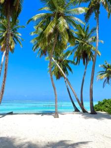 Balma Beach Inn, Faafu (updated prices 2025)