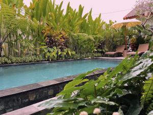 Griya tropical, Ubud (updated prices 2025)