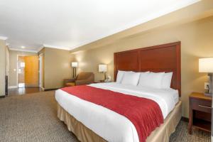 Comfort Inn Arcata, Arcata (updated prices 2025)