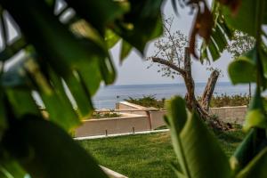 Drymades Inn Resort, Dhërmi (updated prices 2025)