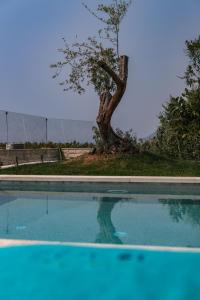 Drymades Inn Resort, Dhërmi (updated prices 2025)