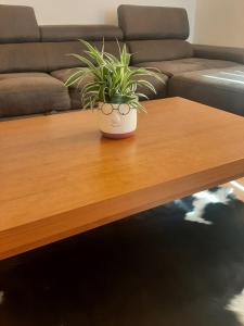 Ime Ruze apartmani Banja Vrujci, Gornja Toplica (updated prices 2025)