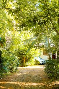 Walawwa Matale, Matale (updated prices 2025)