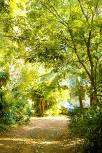 Walawwa Matale, Matale (updated prices 2025)