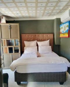Mino Guest House, Pietermaritzburg (updated prices 2025)