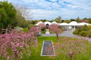 Silverstream Alpaca Farmstay & Tour, Kaiapoi – Updated 2024 Prices