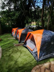 Gibaland, Pinetown (updated prices 2025)
