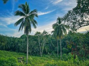 Timba Garden FREE TOWN AND JETTY TRANSPORT, Semporna (updated prices 2025)