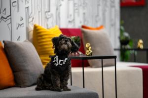 Aloft New York Chelsea, New York (updated prices 2025)