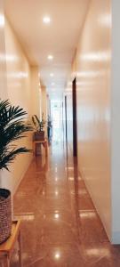 Aurelle Inn, Legazpi (updated prices 2025)