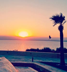 E25 Samarah Resort Apartments, Sowayma (updated prices 2025)