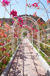 Dibba Mountain Park Resort, Fujairah (updated prices 2025)