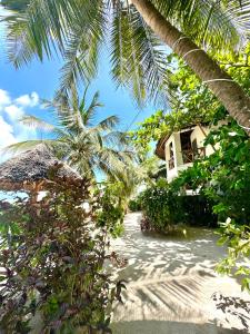 HEBE Bungalows Lodge, Matemwe (updated prices 2025)