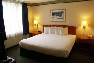 Country Inn & Suites by Radisson, Lansing, MI, Lansing (updated prices ...
