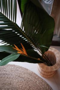 MIRISSA Reef Serenity, Mirissa (updated prices 2025)