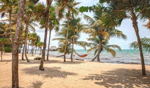 Laru Beya Resort, Placencia (updated prices 2025)