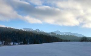 Bystre DOMKI 2, Nowe Bystre (updated prices 2025)