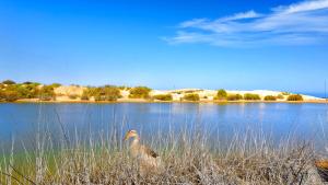 Apartamentos Tamara, Maspalomas (updated prices 2025)