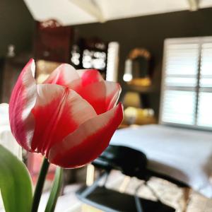 Bundanoon Bijou Southern Highlands Accommodation, Bundanoon (updated ...